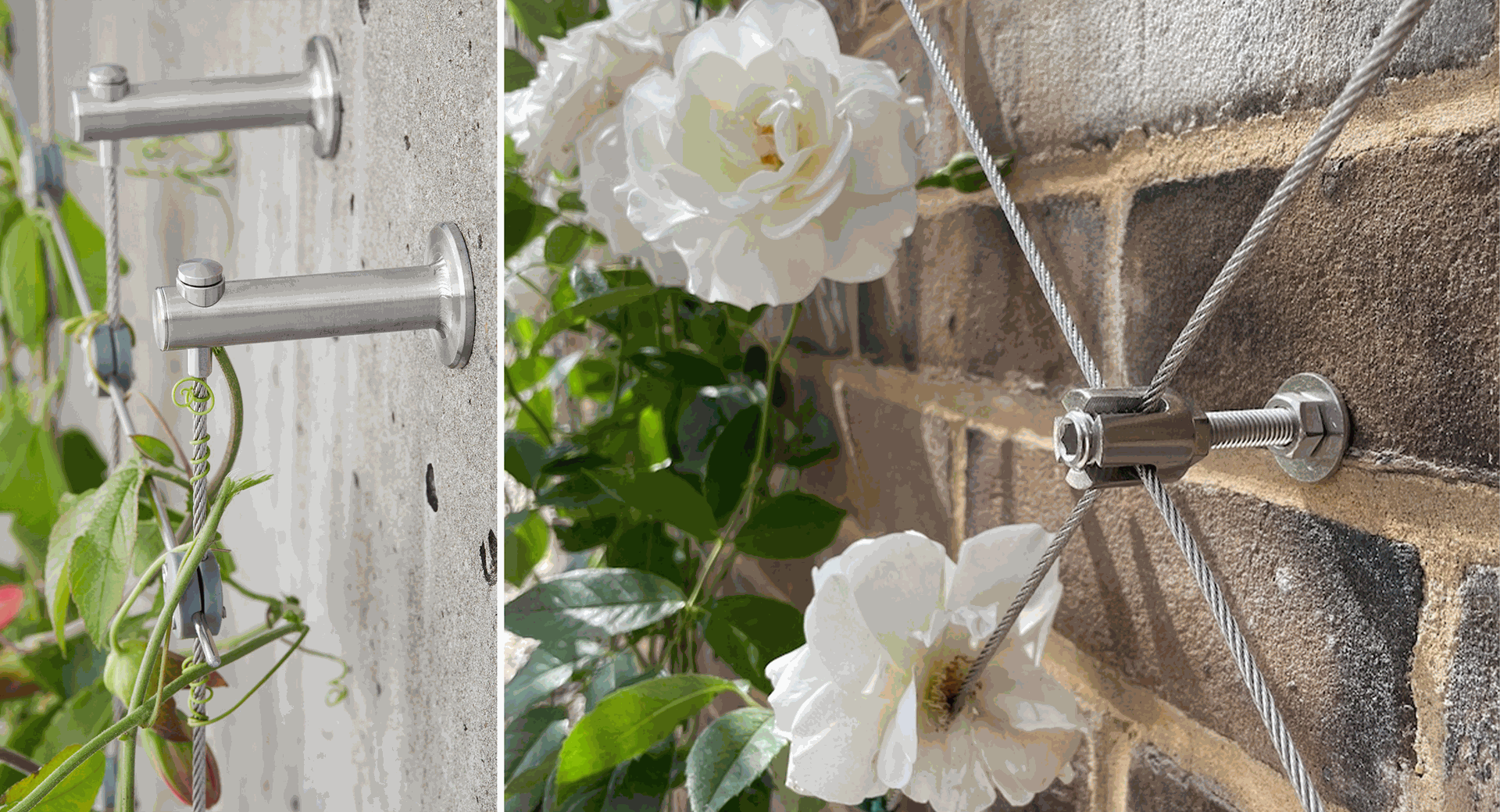 The Ultimate Guide to Sourcing Wire Rope Trellis in China